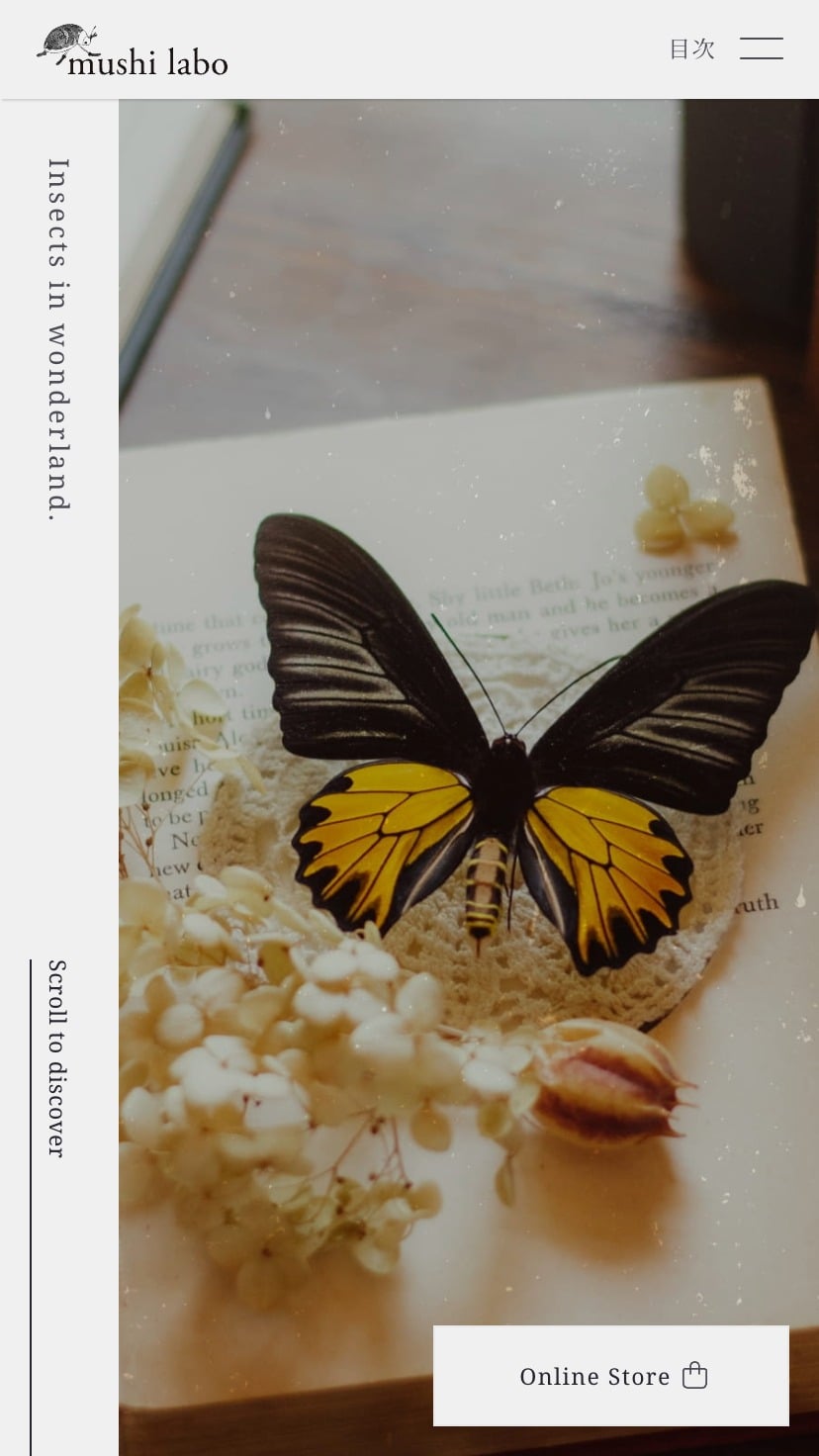 muhi labo | デザインのこと - Web design gallery